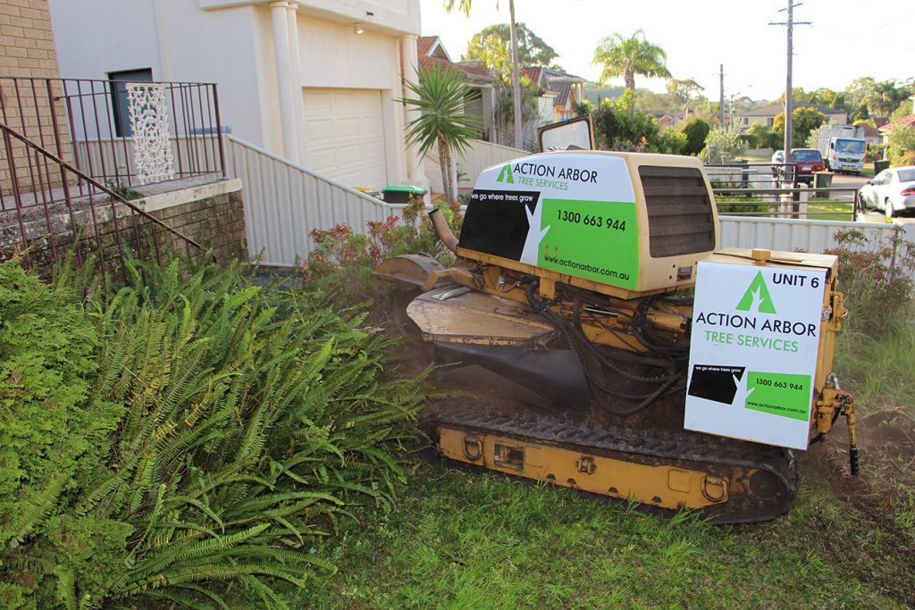 Gallery - Action Arbor Tree Services - Sydney NSW